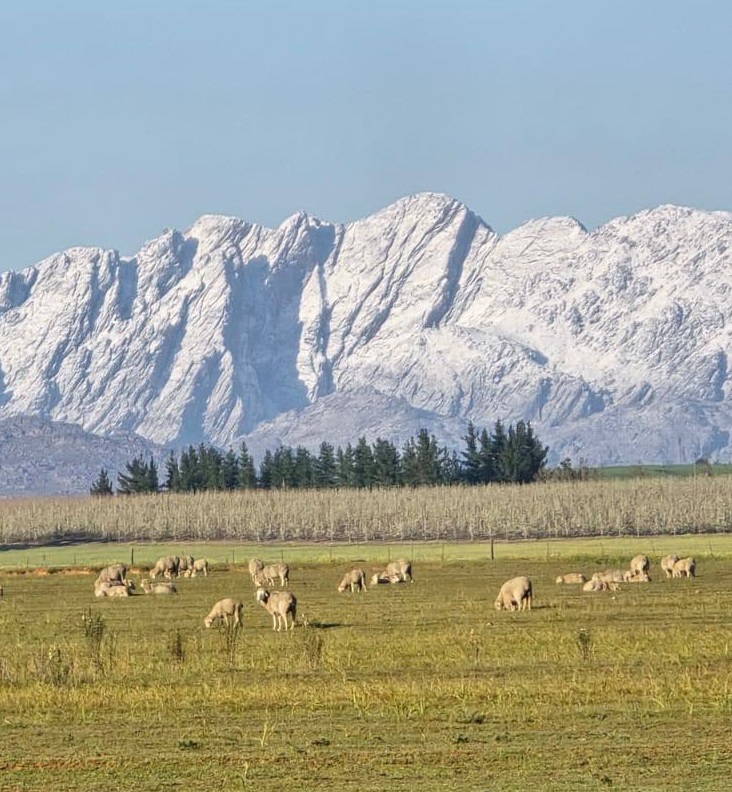 What happened to Spring? Weather Service explains why October is so ...