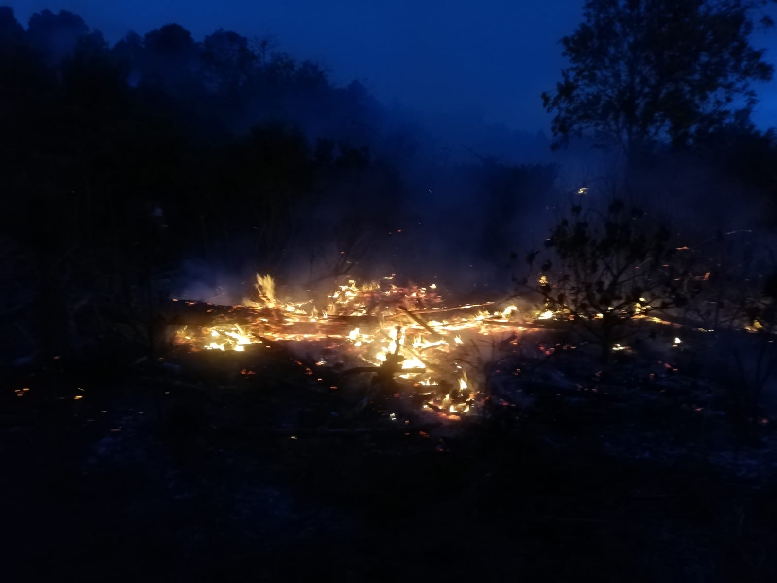 Knysna hillside burns | Knysna-Plett Herald