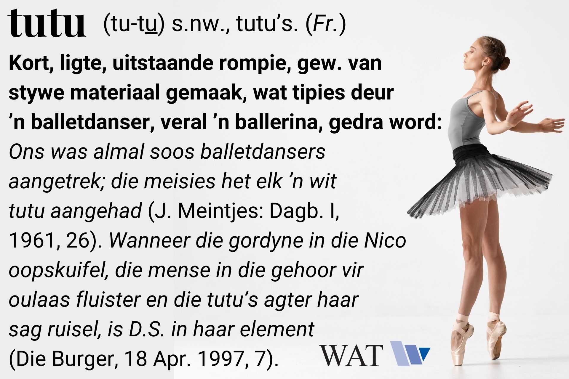 Woord van die week: Tutu | George Herald