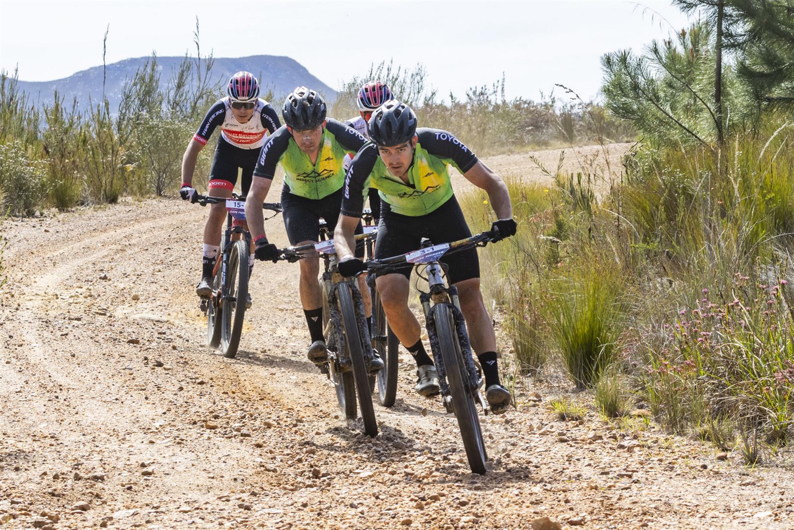 Cape Pioneer: PYGA Euro Steel and Efficient Infiniti Double Up | George ...