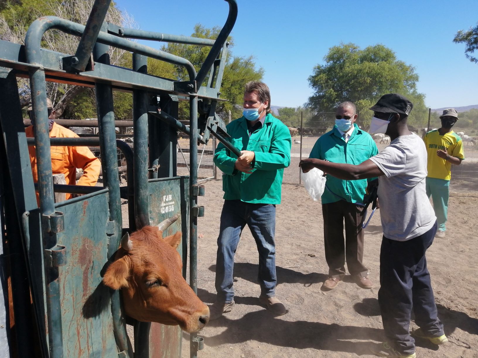 More aid for areas in 7-year drought | Mossel Bay Advertiser