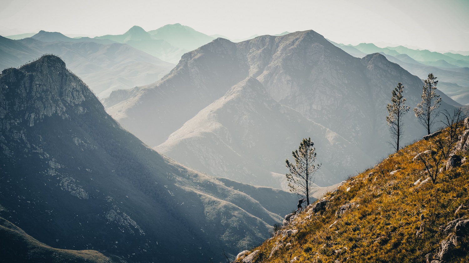 MUT becomes first African Trail Race to join UTMB World Series | Knysna ...