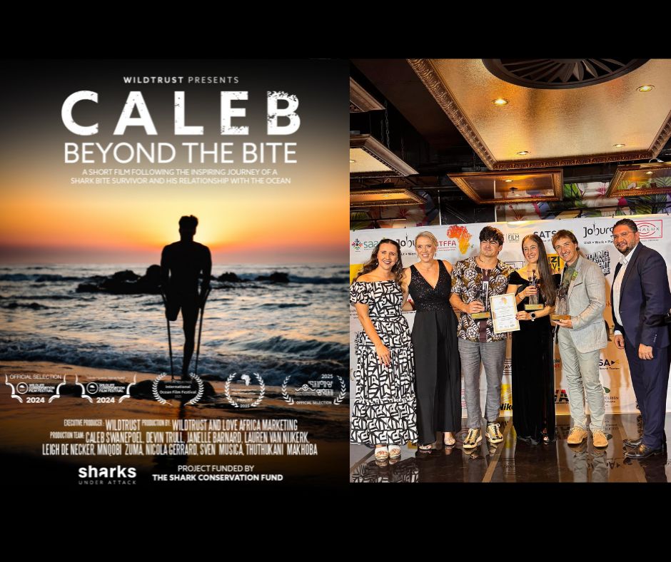 ‘Caleb: Beyond the Bite’ wins gold at international film festival | Mossel Bay Advertiser