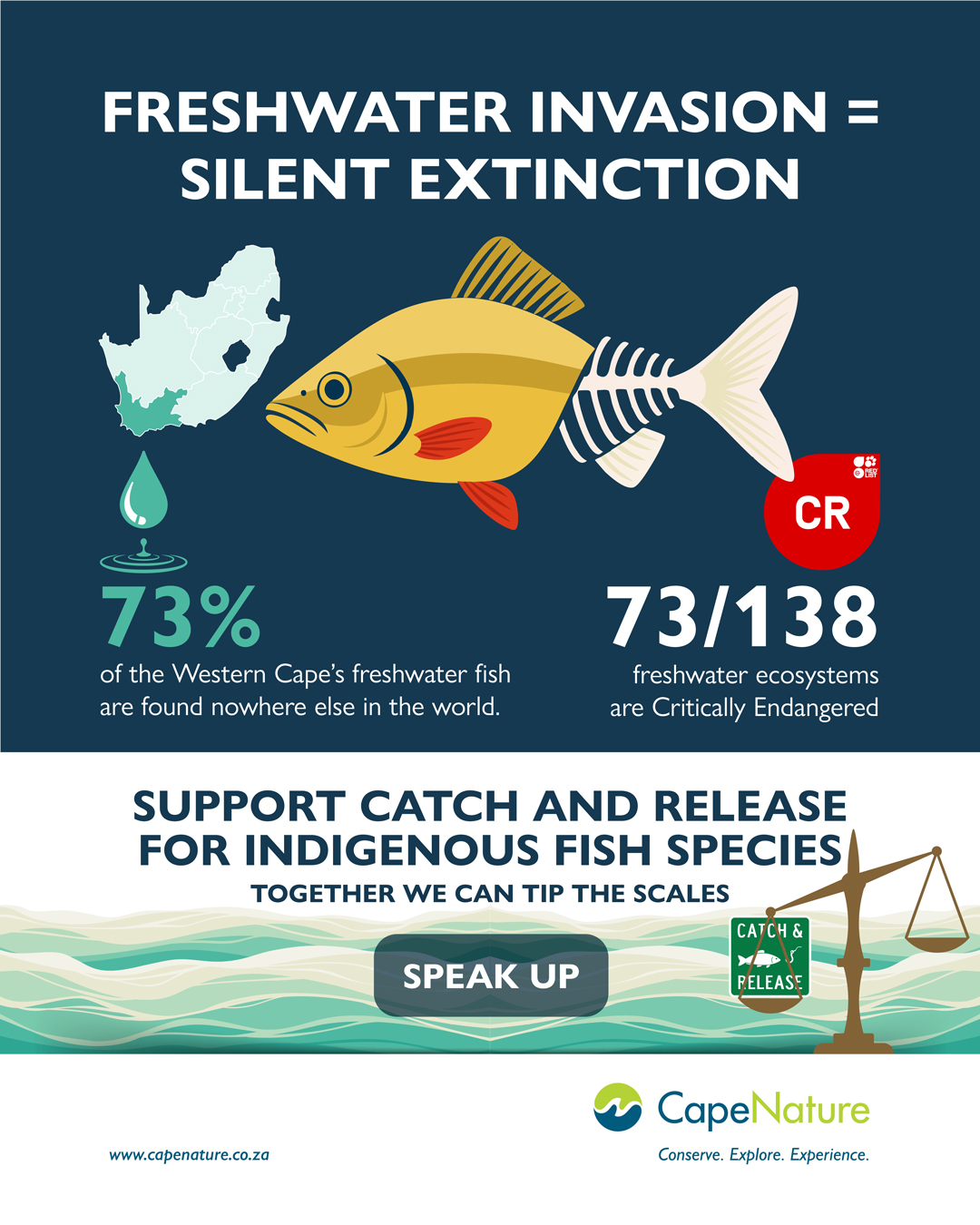 Catch and release helps to conserve the Western Cape’s indigenous fish ...