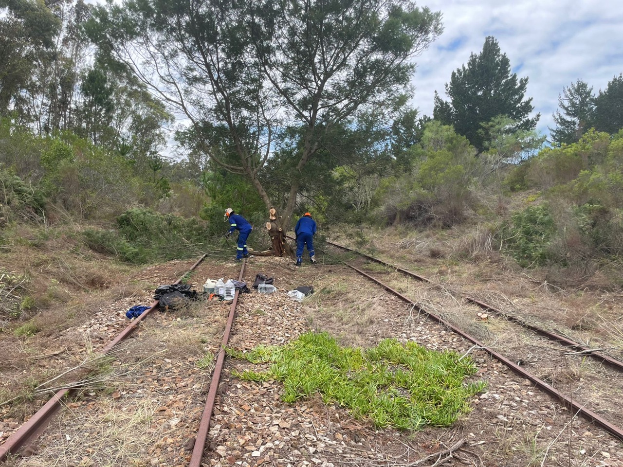 Outeniqua Choo-Tjoe revival: Steady progress on various fronts | George ...