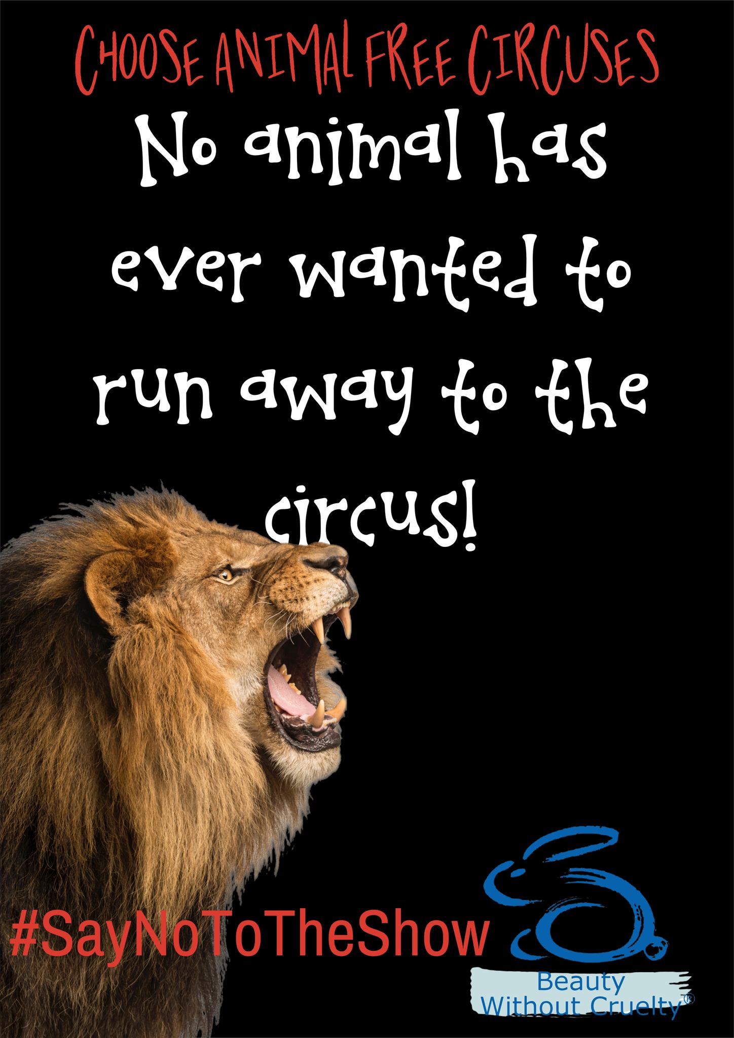 Choose animal free circuses | George Herald