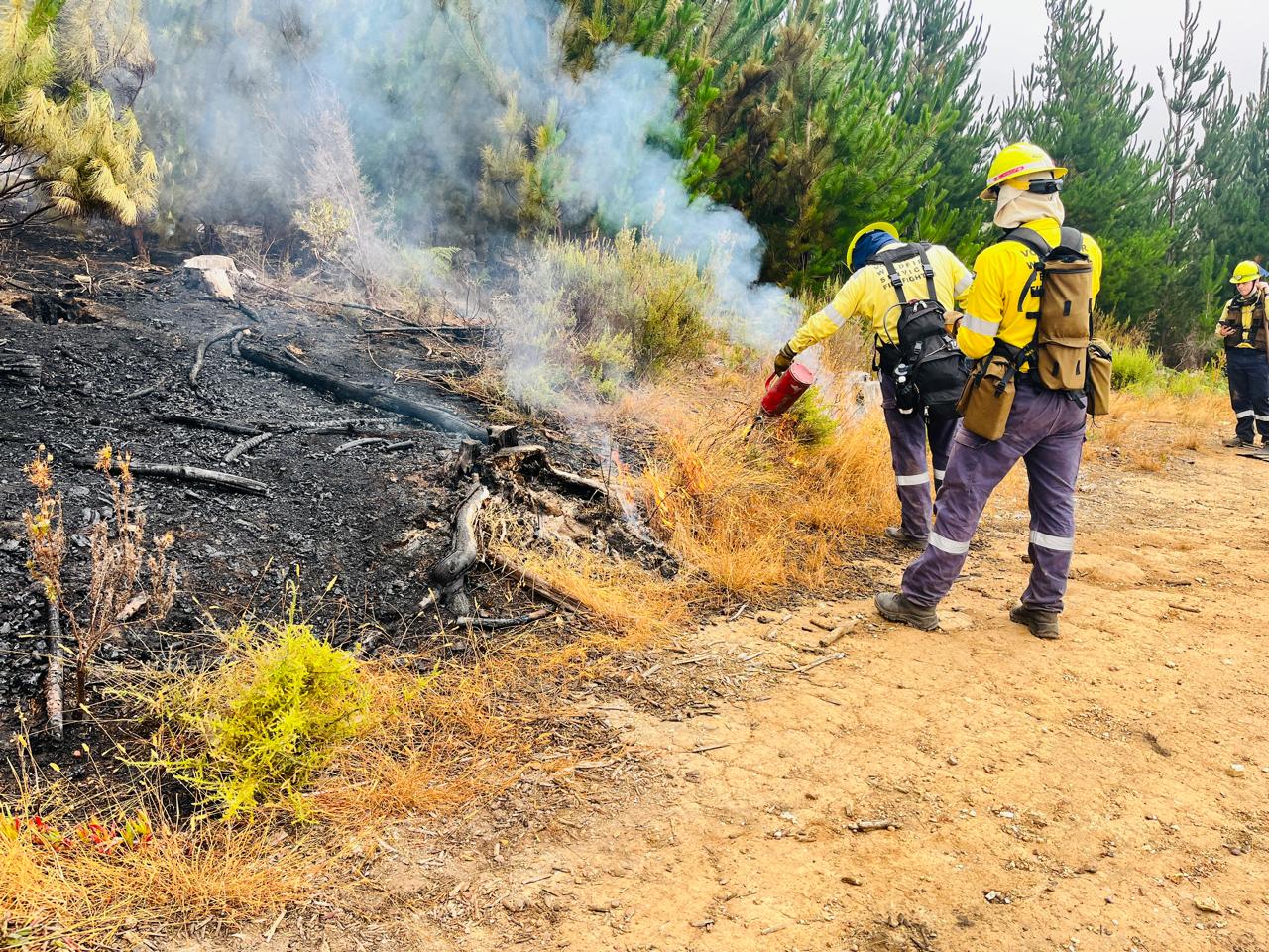 Western Cape fire season shows record early intensity and significant ...