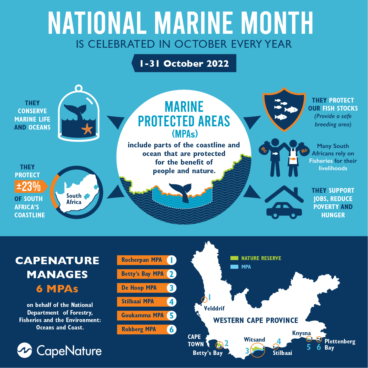 Marine Month: The focus on protected marine resources | George Herald