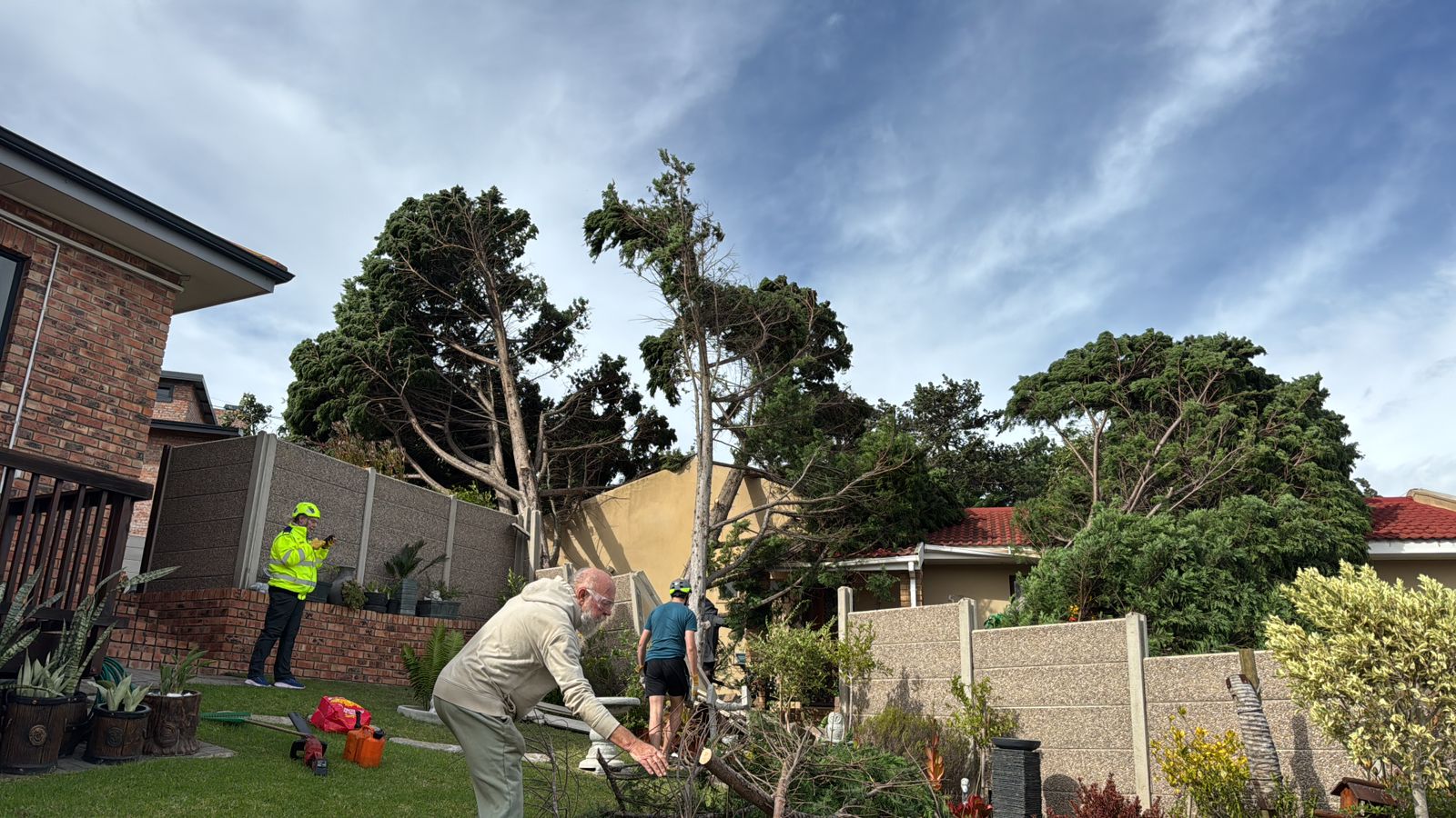 Uprooted trees, infrastructure damages reported due to strong winds ...