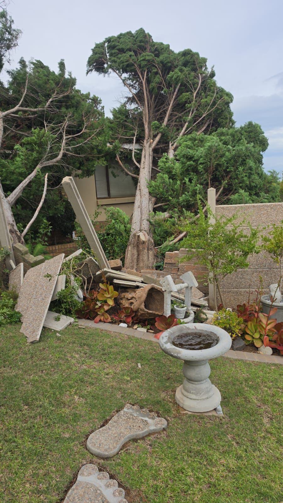 Uprooted trees, infrastructure damages reported due to strong winds ...